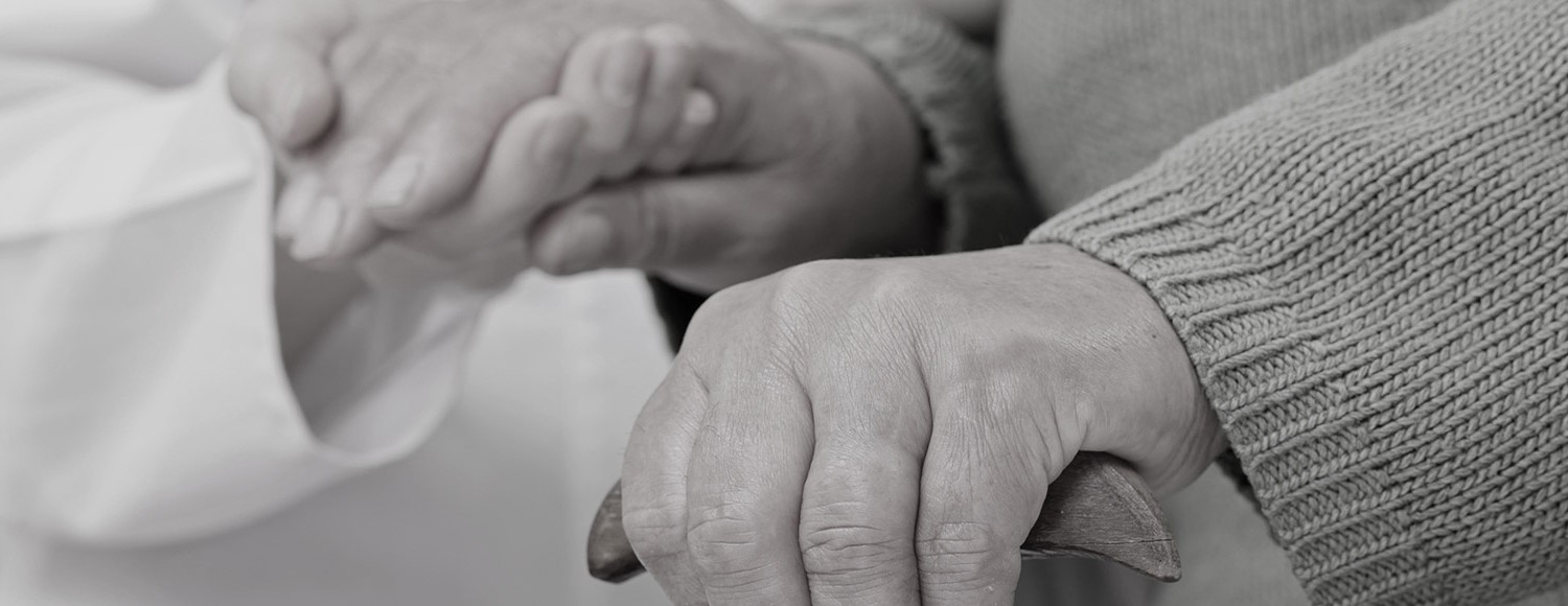 California Lebanese Ladies Organization – CLLO – CLLO is a non-profit ...